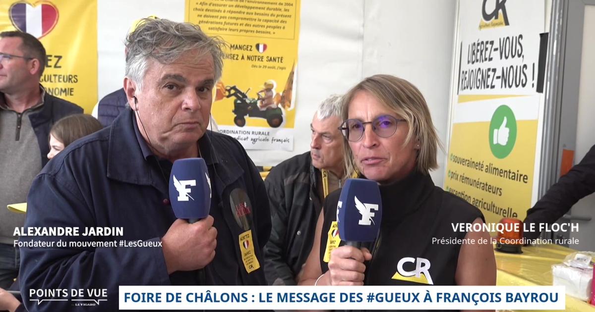 Foire de Châlons : le message d'Alexandre Jardin et de Véronique Le ...
