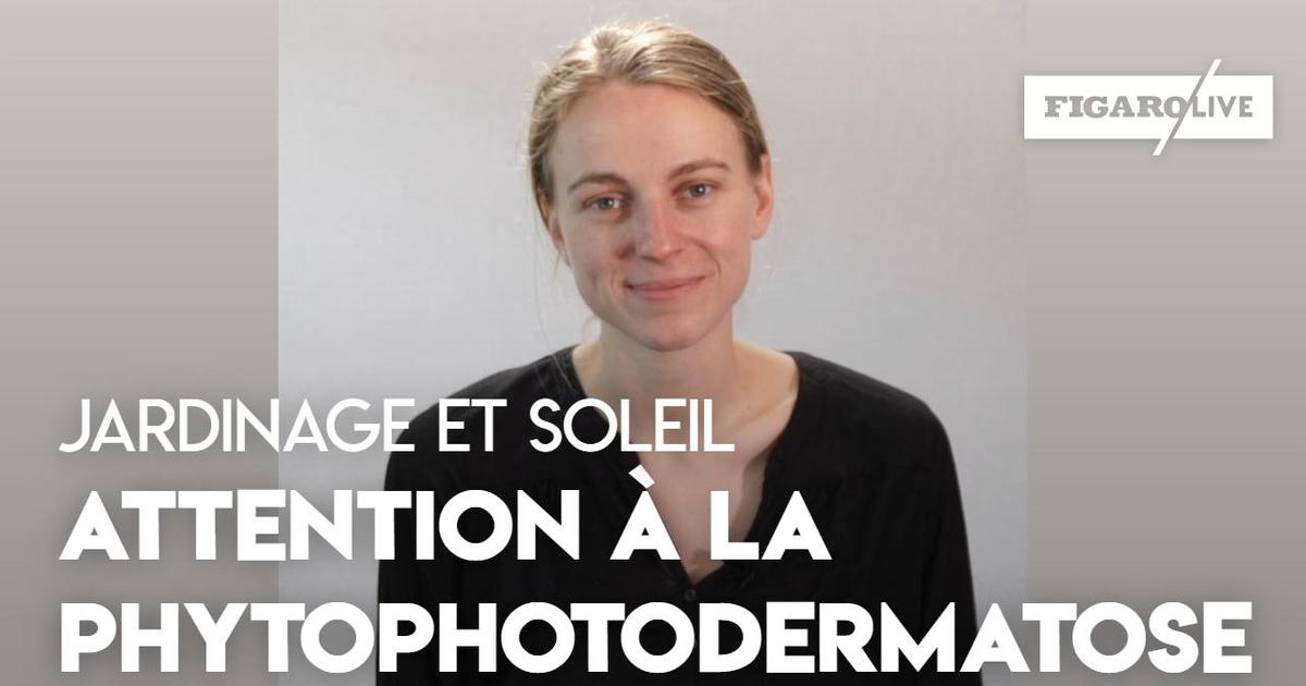 Jardinage et soleil : attention à la phytophotodermatose
