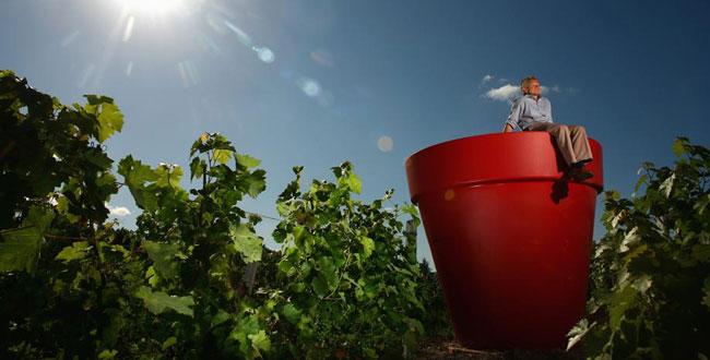 De l'art dans les vignes au Château d'Arsac