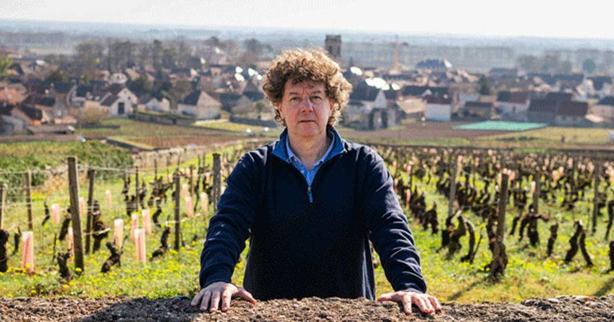 Au château Malherbe, Philippe Pacalet sublime les vins de Provence