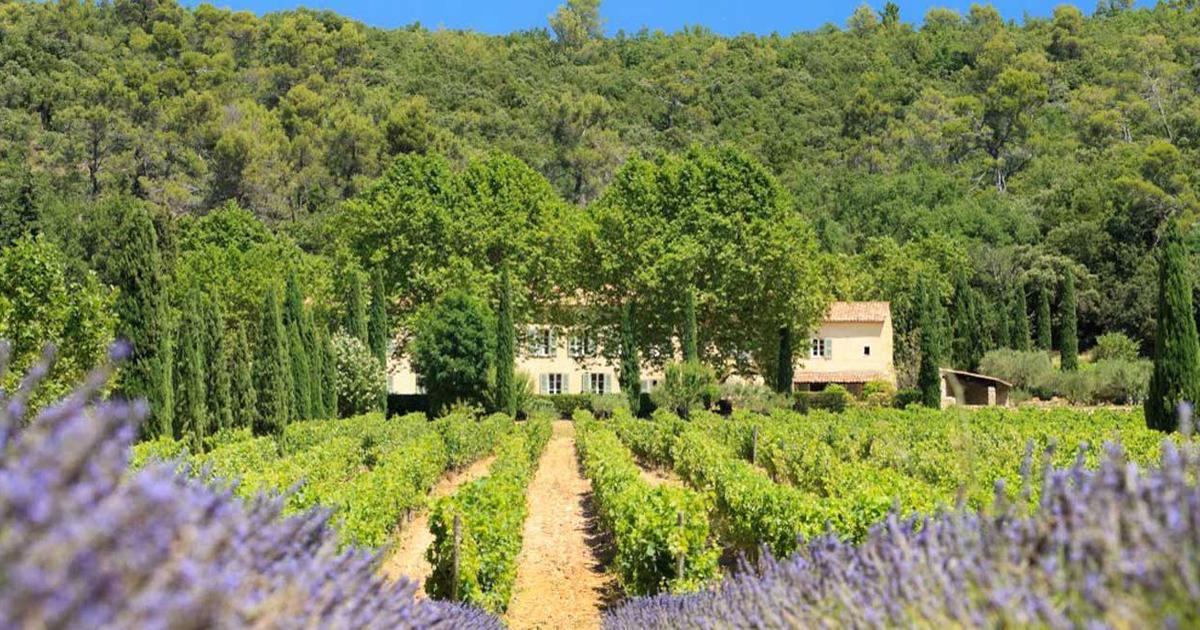 Château La Calisse, un joyau de Provence pas tout à fait comme les autres