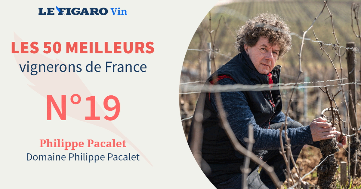 Philippe Pacalet, du domaine Philippe Pacalet, 19e meilleur vigneron de France : «Nous n’avons ...