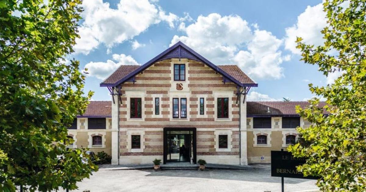 «Le futur est une recherche de tous les jours» : comment Bernard Magrez ...