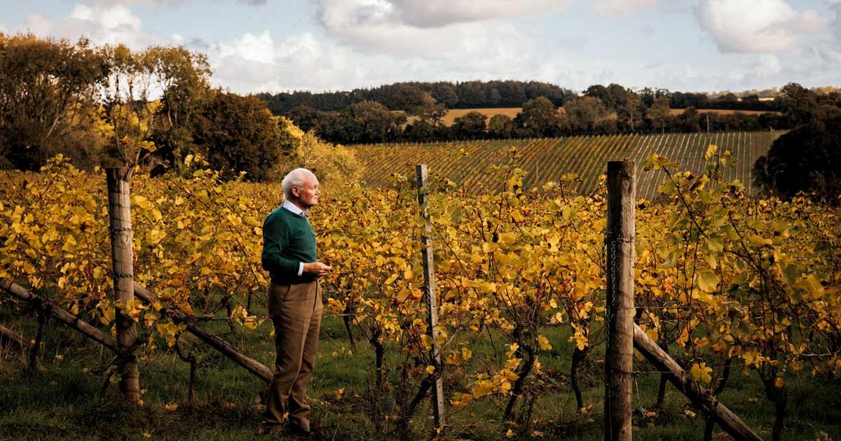 Sur la route des sparkling wines anglais, nouvel eldorado des maisons ...