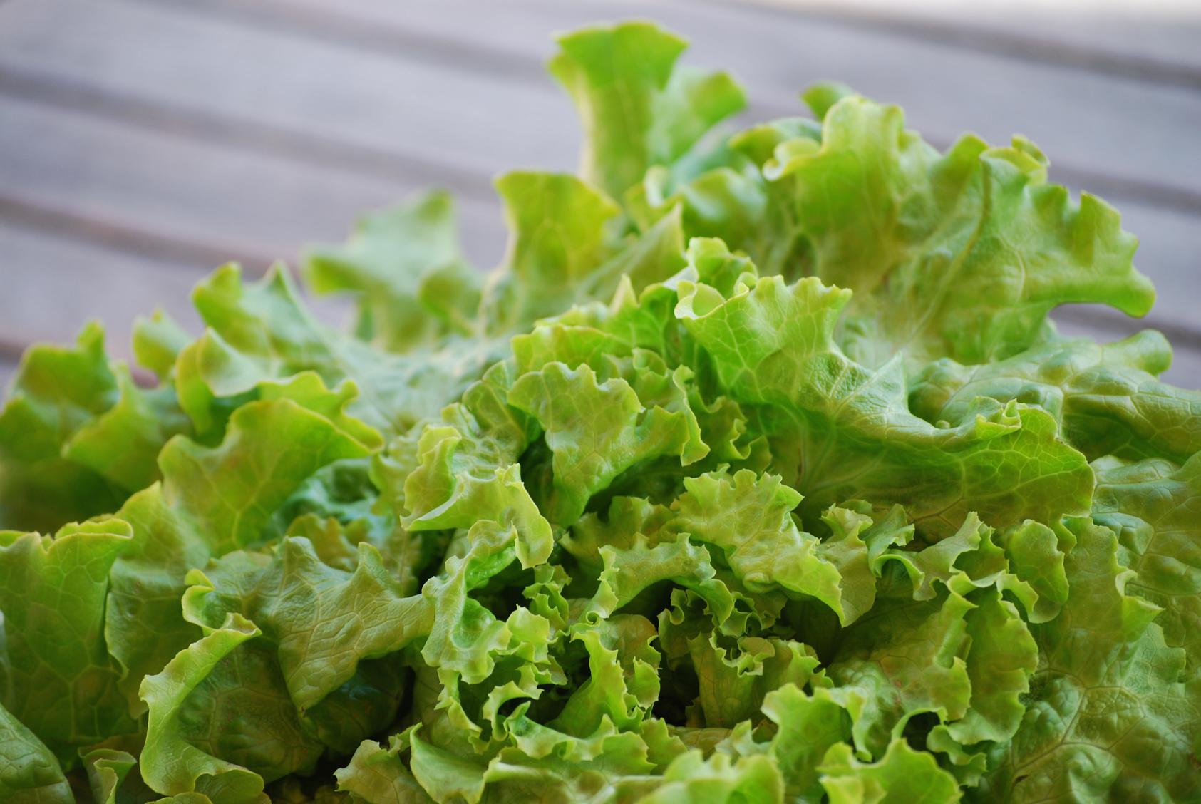 Recettes salade - Cuisine / Madame Figaro