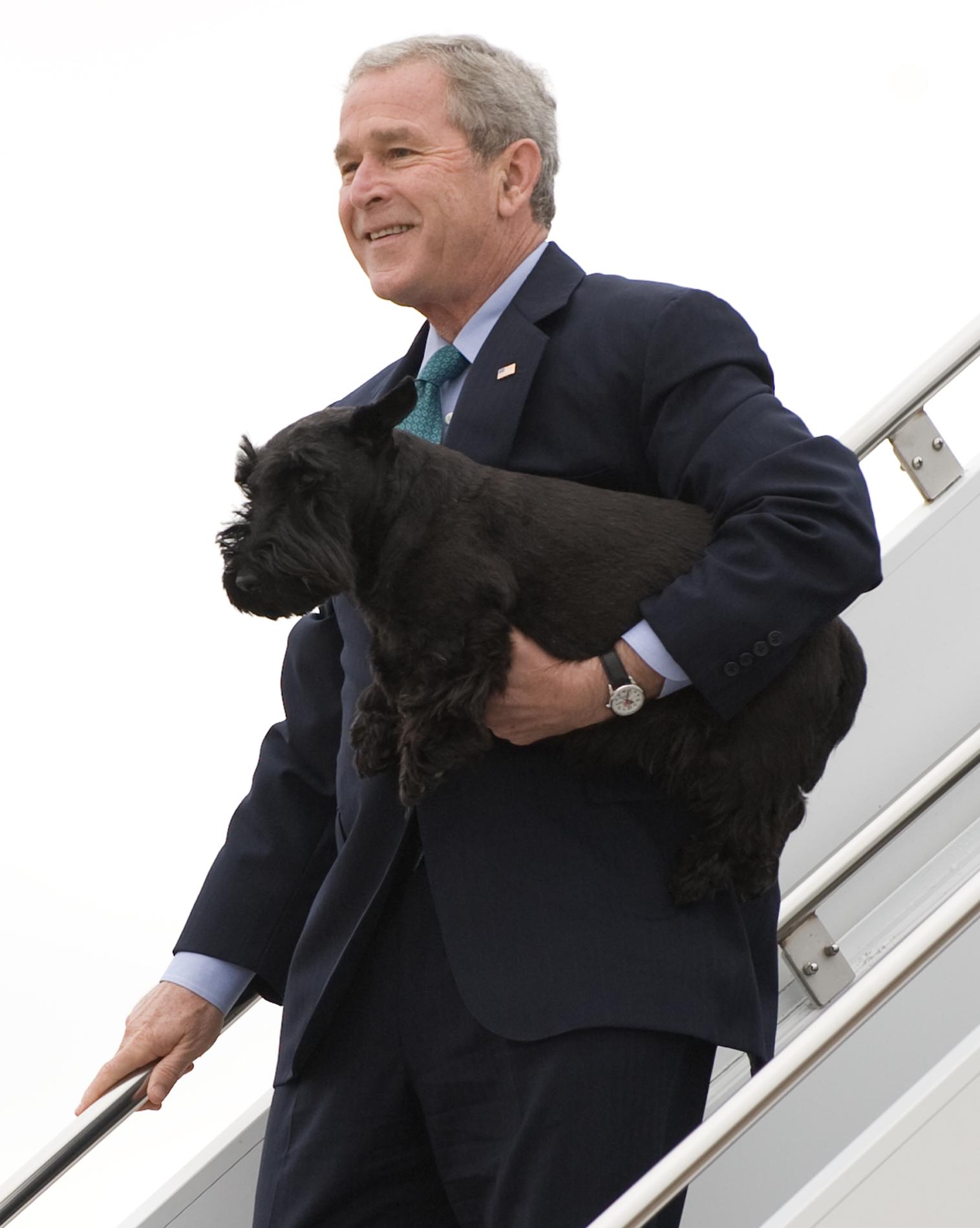 Les Macron vont accueillir un chiot à l'Élysée - Madame Figaro