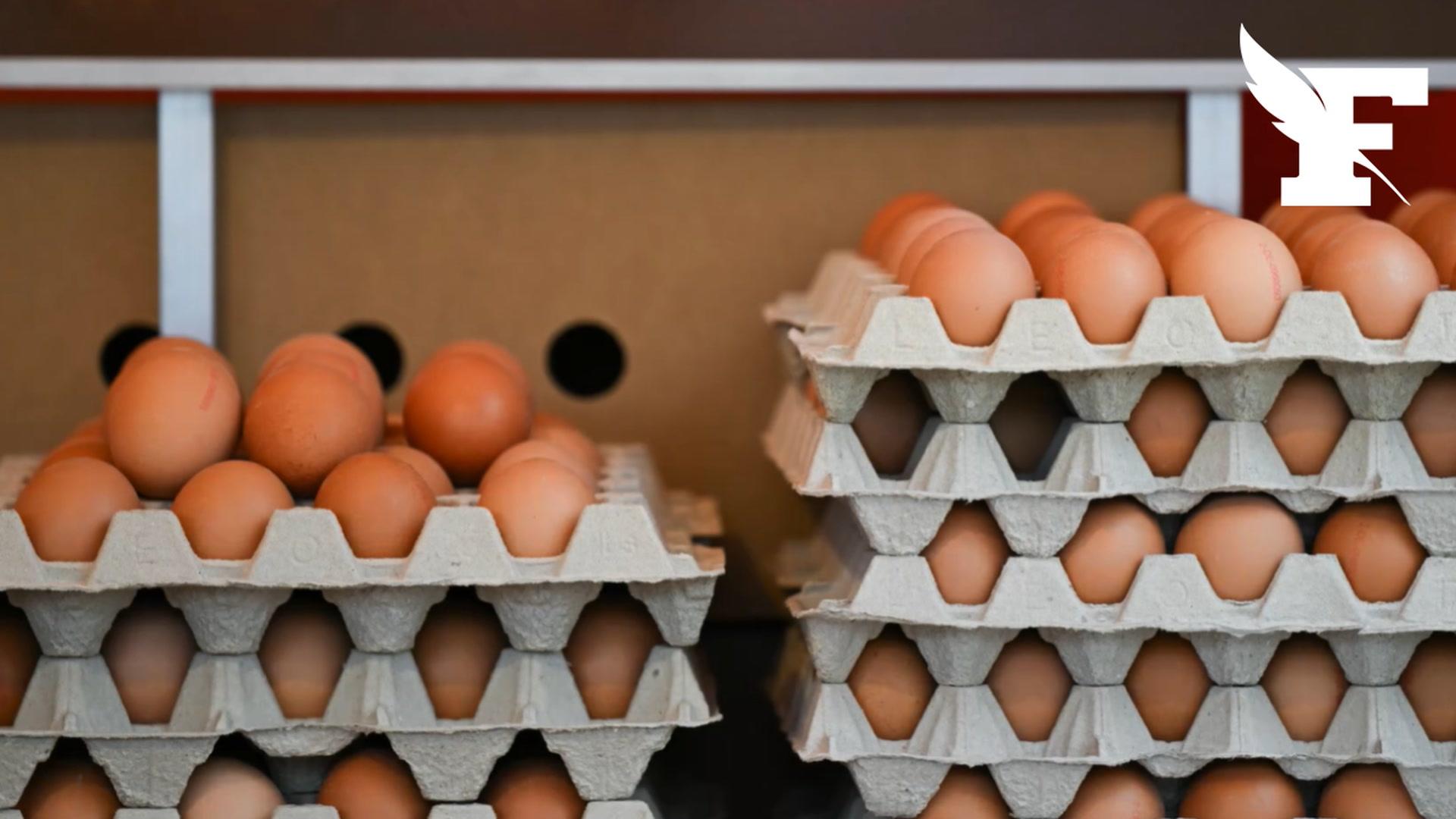 Œufs de poules en cage : plus de sept supermarchés sur dix en ...