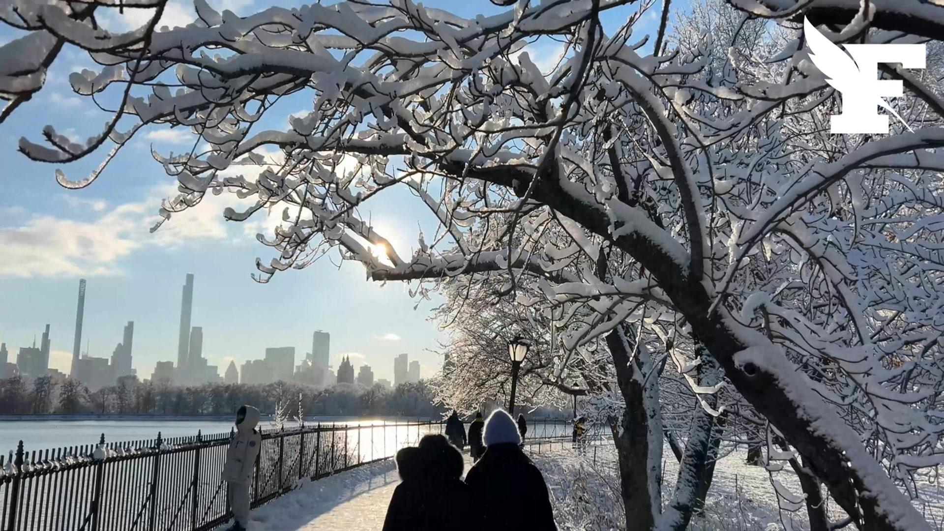 New York: les images de Central Park sous la neige