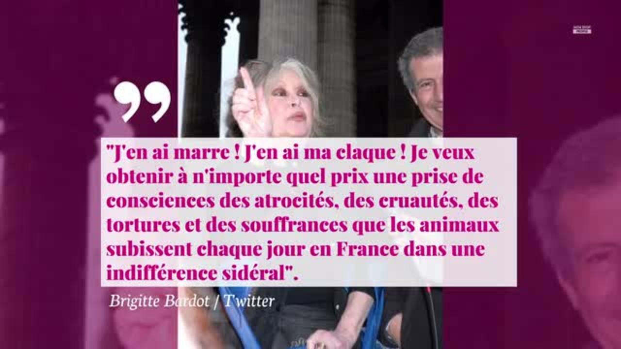 Non Stop People - Brigitte Bardot en colère sur Twitter : elle s ...