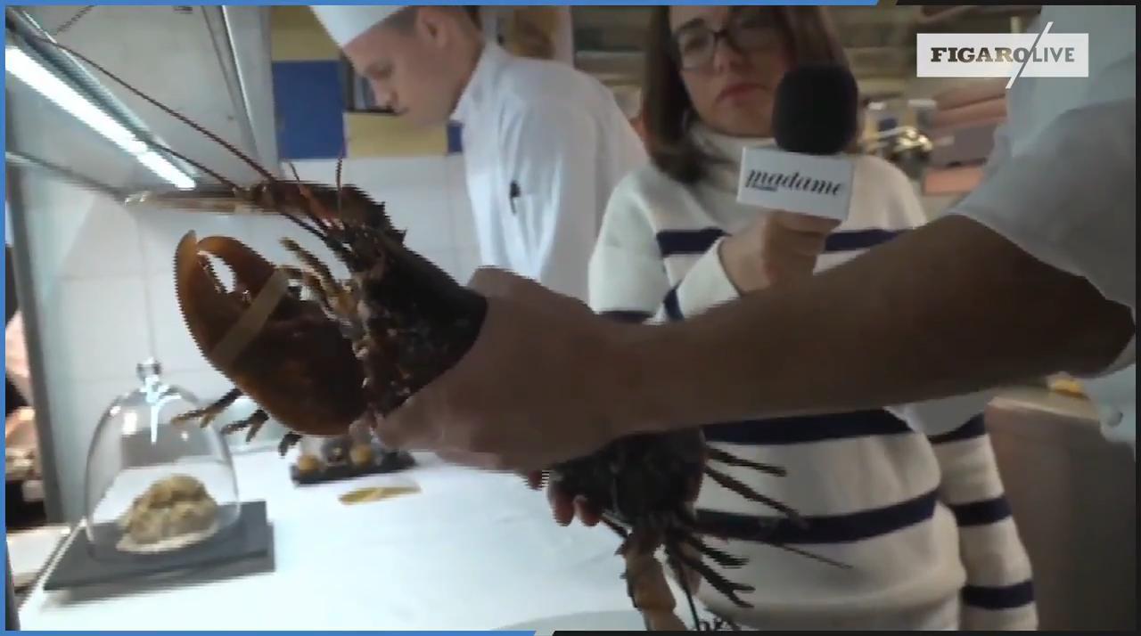 «Madame en cuisine» : comment bien cuire et préparer un homard