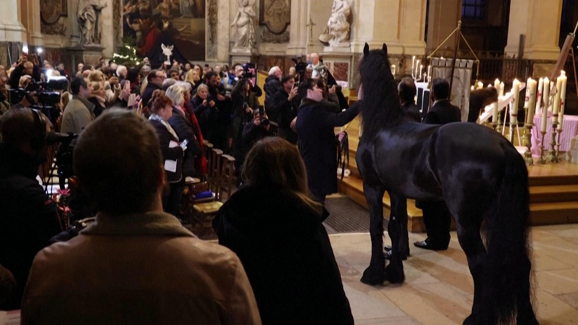 Paris: les images étonnantes d'un cheval noir à l'hommage populaire de ...