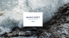 Muscadet : un renouveau grâce à la jeune génération
