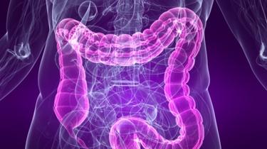 Amibiase - Quels sont les symptômes ? - Fiches santé et conseils médicaux