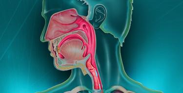 Cancers ORL - Cancer de la gorge ? - Fiches santé et conseils médicaux