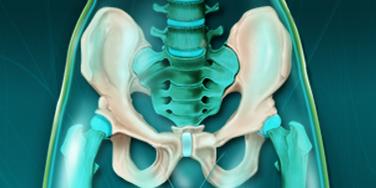 Os iliaque - Qu’est-ce que c’est ? - Fiches santé et conseils médicaux