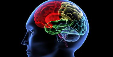 Hyperprolactinémie - Qu'est-ce que c'est ? - Fiches santé et conseils ...