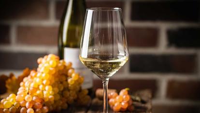 Notre sélection de 7 excellents rieslings