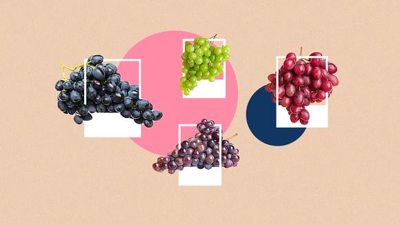 Guide des cépages : Tous les cépages de France