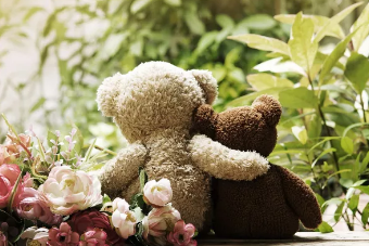 30 citations pour faire l'éloge de la douceur