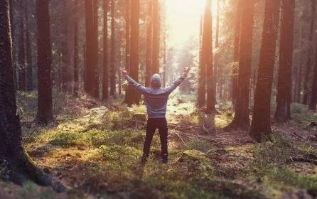 Les 30 plus belles citations sur la Nature