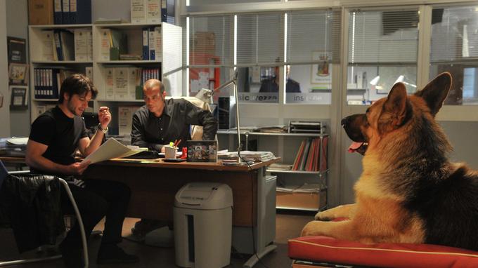 Programme TV - Rex - Saison 14 Episode 5