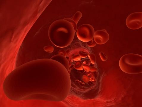 Anémies - Qu'est-ce que c'est ? - Fiches santé et conseils médicaux