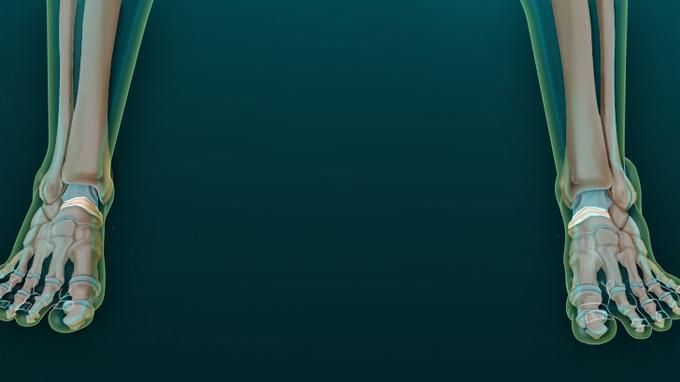 Astragale - Qu’est-ce que c’est ? - Fiches santé et conseils médicaux