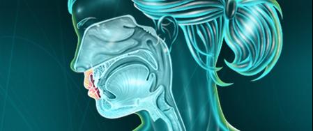 Bouche - Qu’est-ce que c’est ? - Fiches santé et conseils médicaux