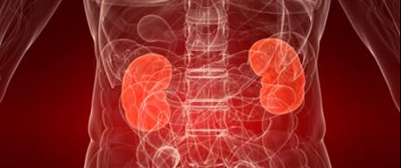 Insuffisance rénale aiguë - Qu’est-ce que c’est ? - Fiches santé et ...