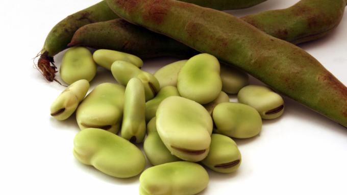 Fève - Que contient la fève ? - Fiches santé et conseils médicaux