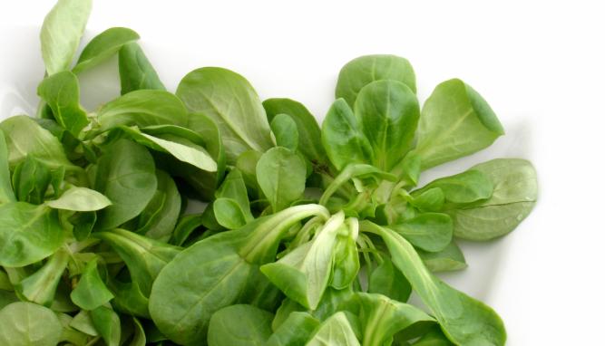 Mâche - Que contient la mâche ? - Fiches santé et conseils médicaux