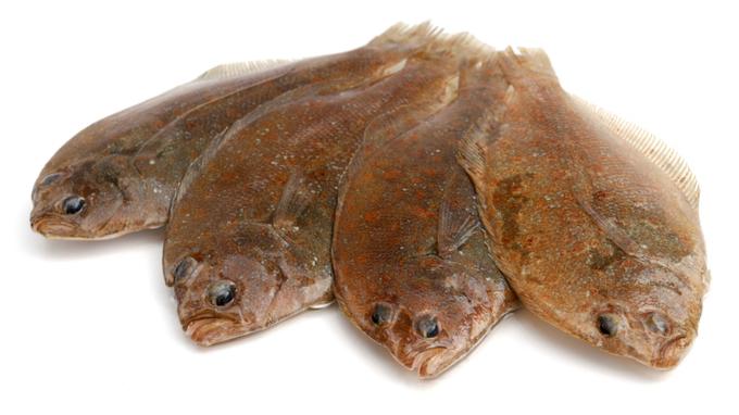 Sole - Quels sont ses bienfaits ? - Fiches santé et conseils médicaux