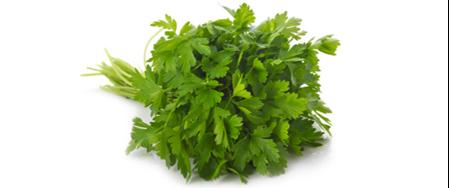 Persil - Quels sont les avantages nutritionnels du persil ? - Fiches ...