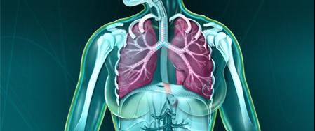 Poumons - Quelles maladies ? - Fiches santé et conseils médicaux