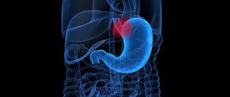 Cardia - Qu’est-ce que c’est ? - Fiches santé et conseils médicaux