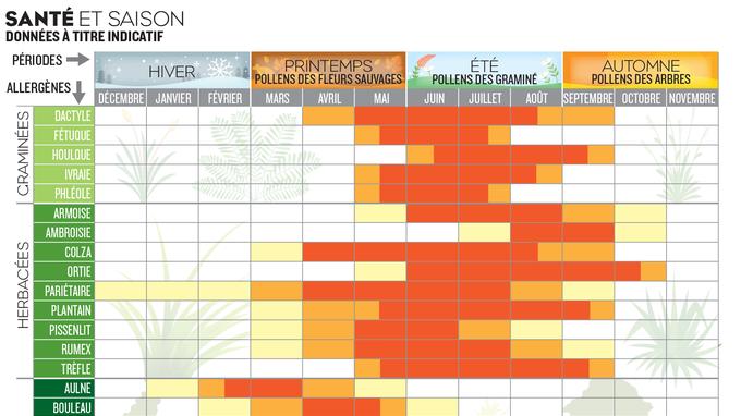 Pollens - À quel moment de l’année ? - Fiches santé et conseils médicaux