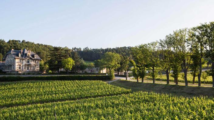 Domaine de Baronarques : le Languedoc sous l'égide Rothschild