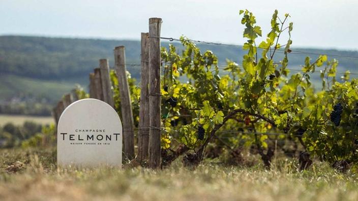 Telmont dévoile sa nouvelle cuvée en faveur du développement durable