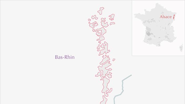 Appellation Alsace Chasselas ou Gutedel