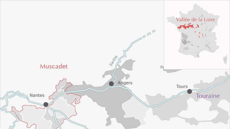 Muscadet : Guide des vins et des appellations
