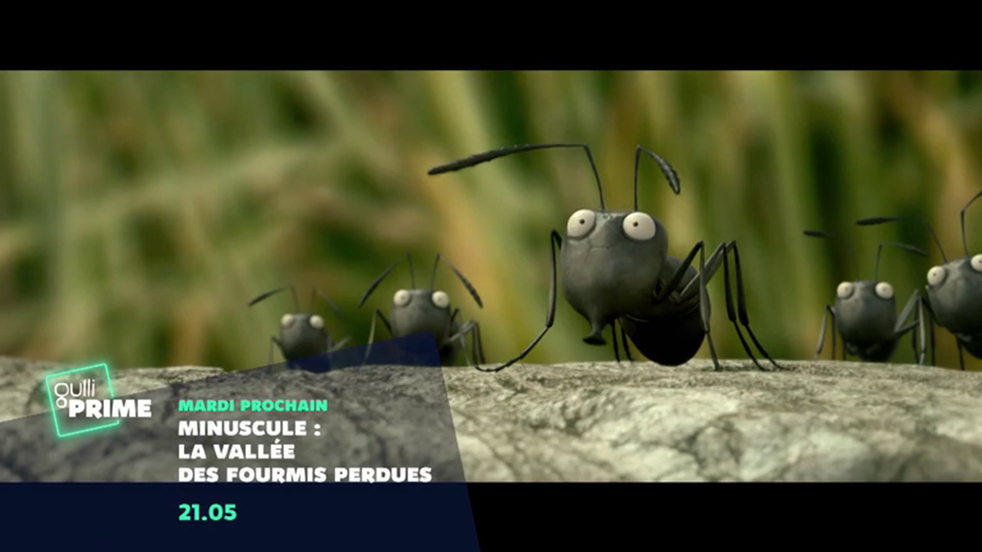 Minuscule, la vallée des fourmis perdues - VF