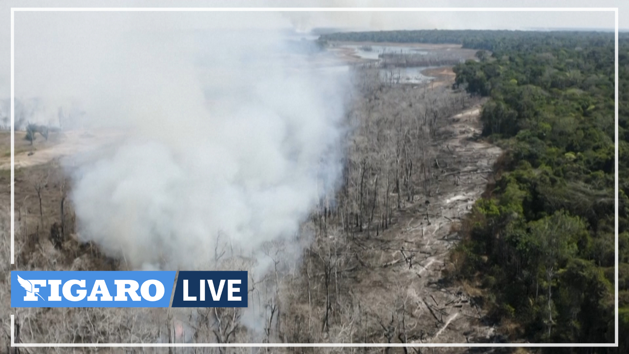 En Amazonie, les incendies font rage et atteignent les fermes En Amazonie, les incendies font rage et atteignent les fermes