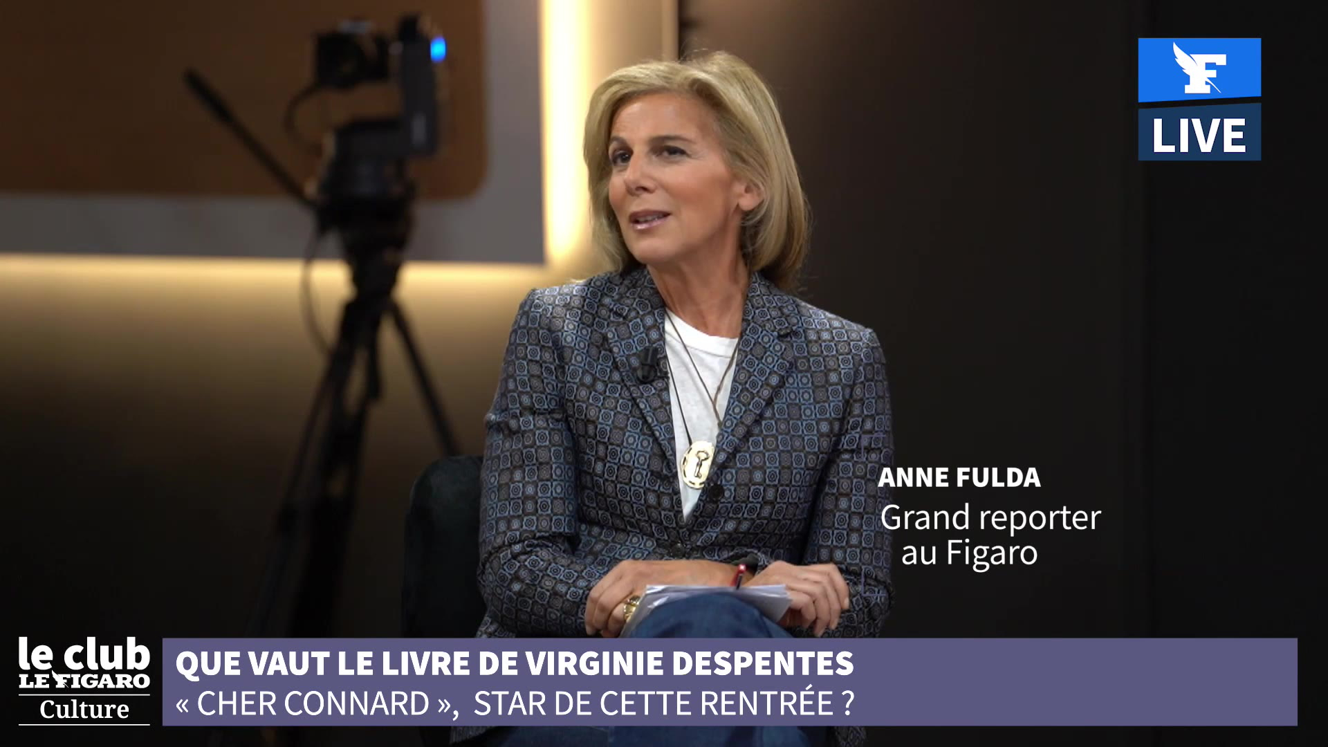 «Virginie Despentes glane tous les sujets dans l'air du temps», selon ...
