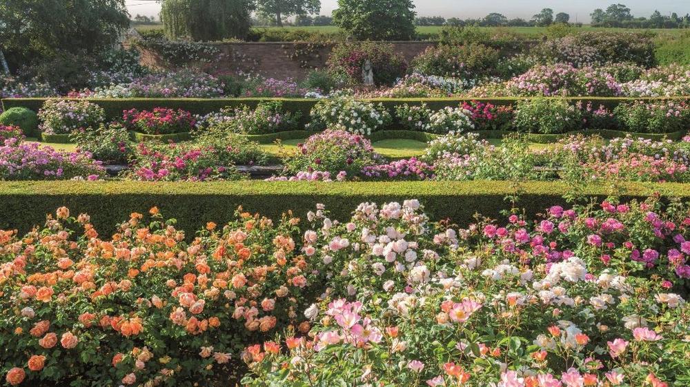 À la découverte des plus belles roseraies d'Europe
