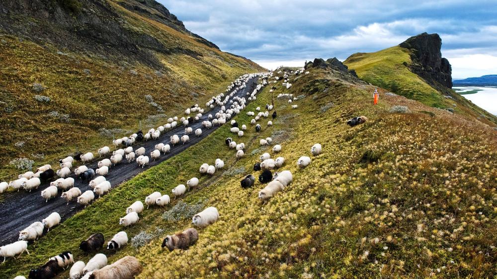 L'aventure islandaise