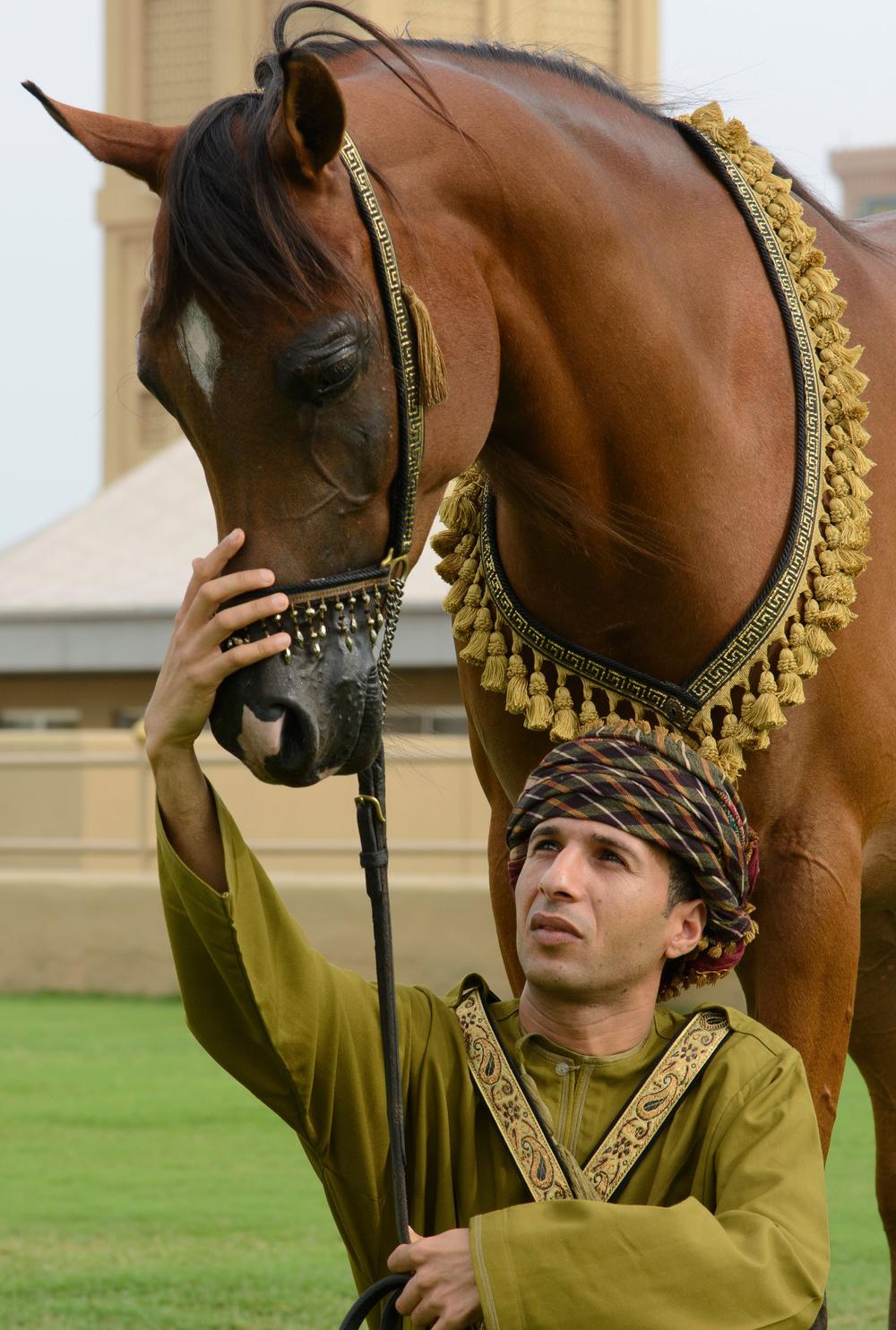 À Oman, avec les cavaliers du sultan