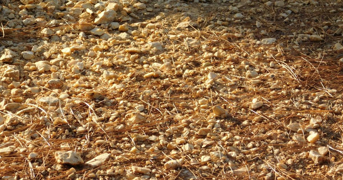 Quel rôle le calcaire joue-t-il dans un sol