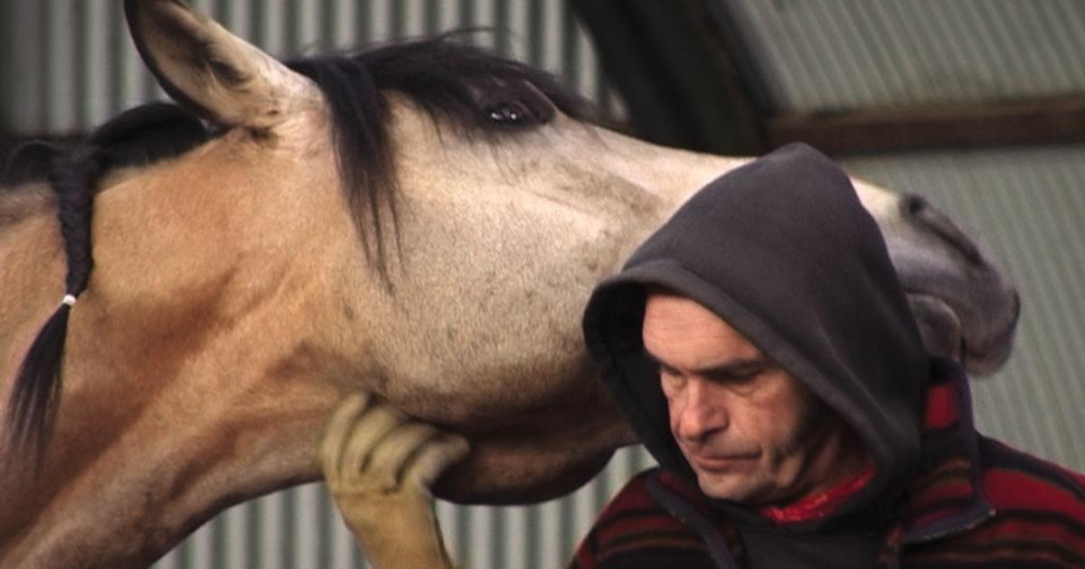 Le Caravage, cheval de bataille d'Alain Cavalier