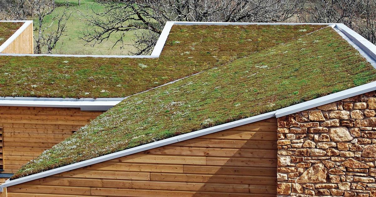 Toits végétalisés: l'écologie sur la bonne pente