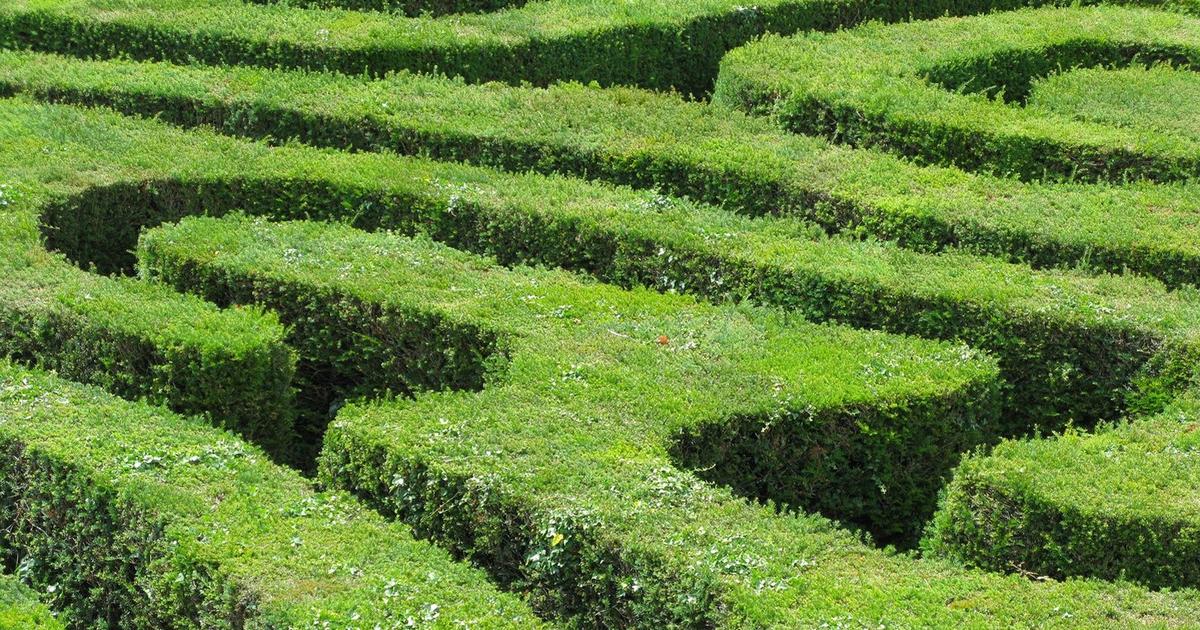 Comment créer un labyrinthe végétal